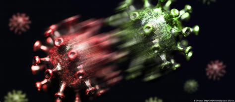 Грип и корона ни се заканува ли двоен бран Независен Весник