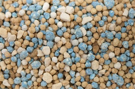 What Is Slow Release Fertilizer Tips For Using Slow Release