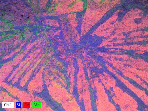 500 Million Year Old “dune” Monster Unveiled Ancient Sea Worm Unknown