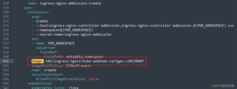 K8s（1282）部署ingress Nginx Controller（190）部署ingresscontroller19 Csdn博客