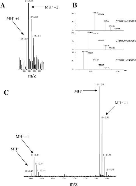 Evidence For Asn Deamidation Shown Are Two Examples Of Peptides Whose Download Scientific