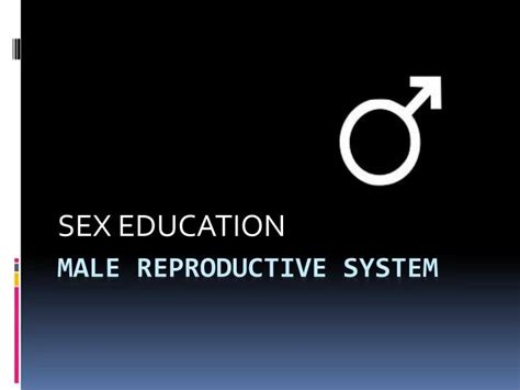 PPT Male Reproductive System PowerPoint Presentation Free Download ID 2215589