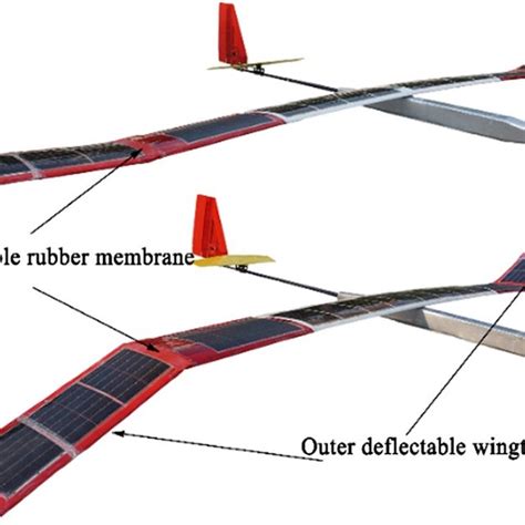 Morphing Wing Construction With Skin Attached To Lower Surface