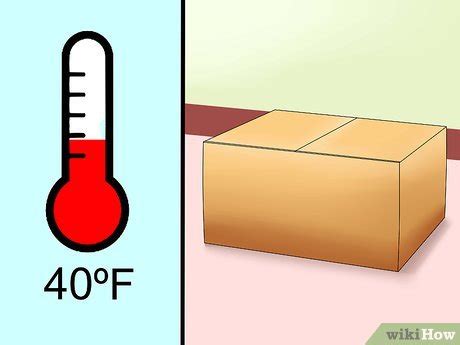 How To Care For Dahlias With Pictures WikiHow Life