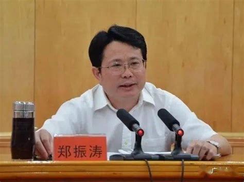 厉害了丨八名广东人现任中央委员、候补委员，中央纪委委员 搜狐大视野 搜狐新闻