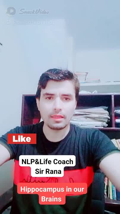 Abdul Ghafoor On Linkedin Hippocampus Memory Spatialnavigation Languageprocessing