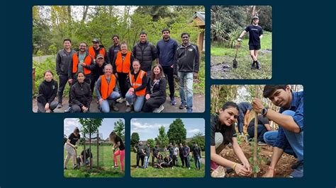 planting trees and growing community servicenow blog