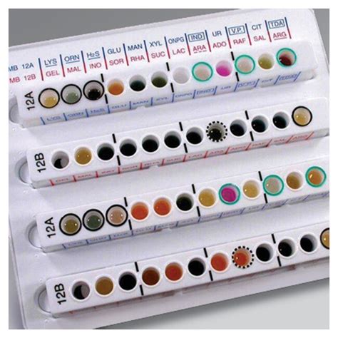 Oxoid™ Microbact™ Software Program