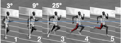 Linear Kinematics Flashcards Quizlet