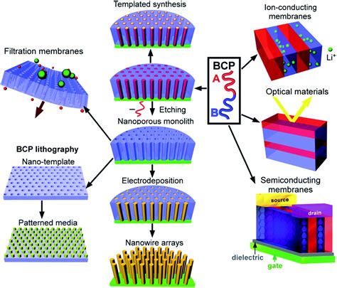 Ensayo Práctico Menos The Physics Of Block Copolymers Parilla Rizado Transporte