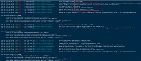 the metadataserviceuri property in nf does not take effect after it is configured · issue