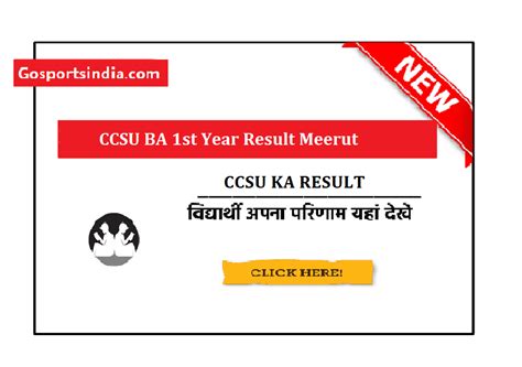 CCSU BA St Year Result Meerut