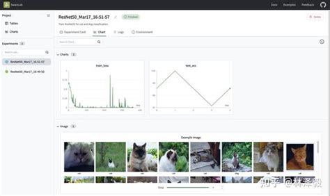pytorch swanlab gradio 猫狗分类：从可视化训练到demo网站 知乎