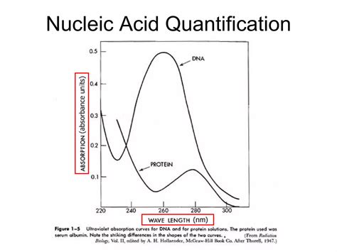 Biol2 Lecture 1 V1 Ppt