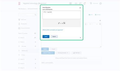 DTU Learn Support Using LaTeX In The HTML Editor