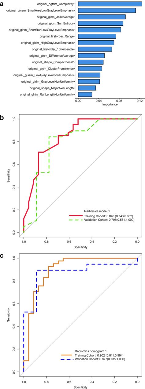 Combination Of Computed Tomography Imaging Based Radiomics And