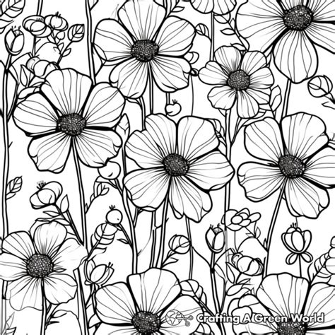 August Coloring Pages Free And Printable