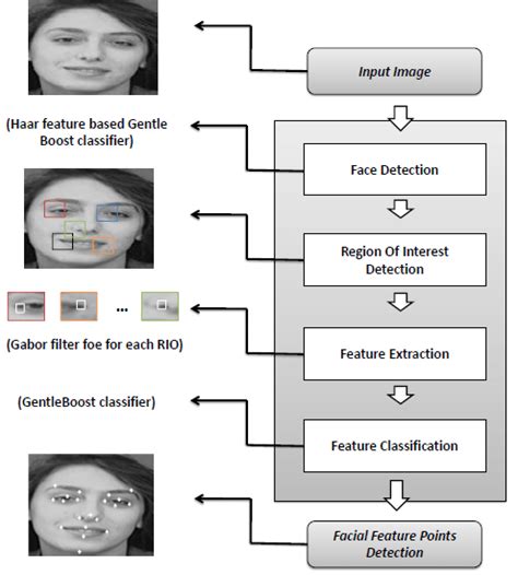 Automatic 20 Facial Feature Points Detection Steps Download