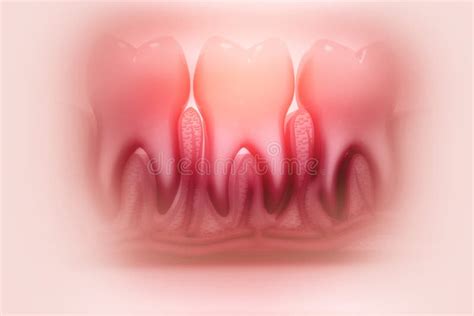 Human Tooth Anatomy Stock Illustration Illustration Of Cross 191506651