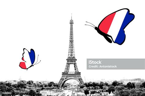 프랑스의 국기의 색상 주위 나비와 에펠 탑의 전망과 파리 파노라마의 흑백 사진 흰색 배경에 고립입니다 0명에 대한 스톡 사진 및 기타 이미지 Istock