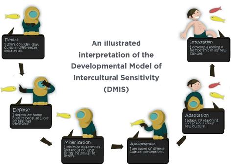 Developmental Model Of Intercultural Sensitivity Maximus Has Mcintyre