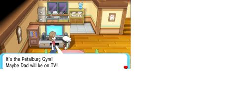 口袋妖怪红宝石图文攻略360新知