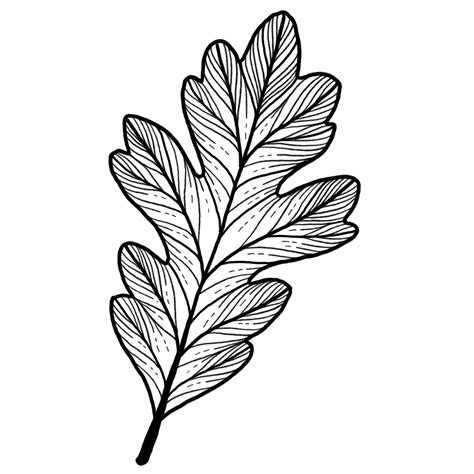 Oak Leaf Outline Tattoo Tattoo Oak Leaf Vector Images Over 420
