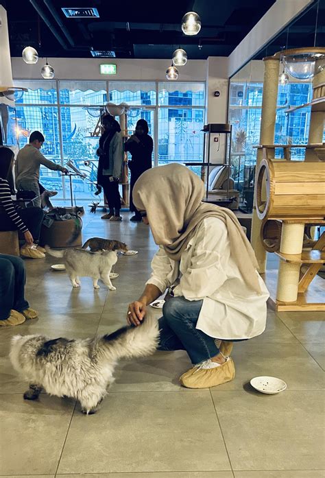 Serie Cricut Contributing Artist Manal Khalaf Cricut