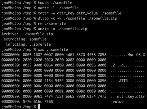 The Bug Is Fixed The Achilles Heel For Macos Patched