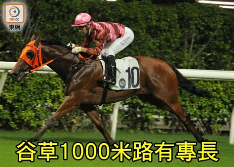 【獨門秘技】熱門一樣「有苗頭」