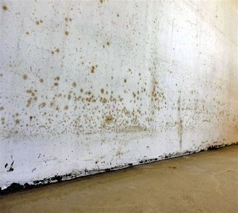 Render Cleaning Services Exterior Wall Cleaning