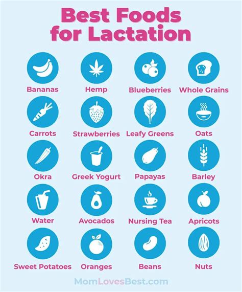 27 Foods To Increase Your Milk Supply Essential For Breastfeeding Moms