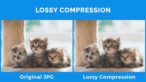 A Complete Guide To An Image Compression For M Tech Thesis