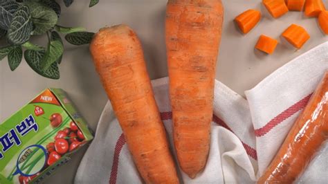 당근수프 부드러운 당근요리