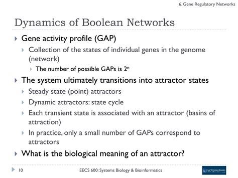 Ppt 6 Gene Regulatory Networks Powerpoint Presentation Free