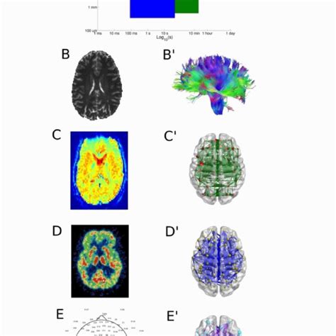 the proposed integrative framework with the multiplex networks a the