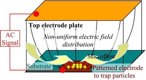 A An Ac Electroosmotic Particle Concentrator Top View B Download Scientific Diagram