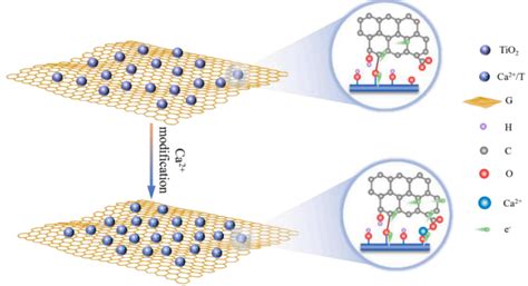 渤海大学、辽宁省二氧化钛粉体表面功能化重点实验室zengying Ma等 通过ca2修饰的tio2石墨烯导电材料改善电荷转移以提高导电性