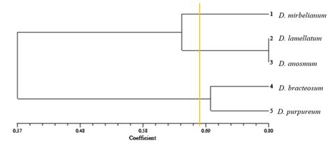 Dendrogram Based On Morphological Characters Of The Five Species Of