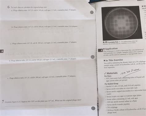 Solved 6 ﻿for Each Data Set Calculate The Original Phage