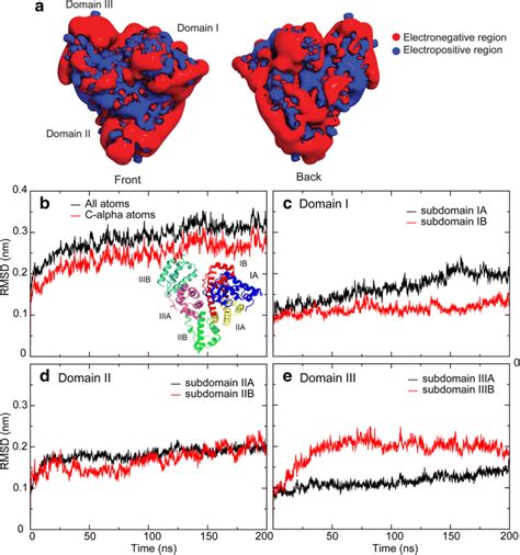 A Electrostatic Potential Of Fsa Calculated By Apbs Software 42 Blue