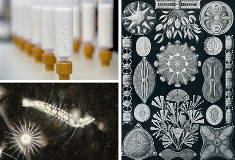 Supported Liquid Extraction Vs Liquid Liquid Extraction