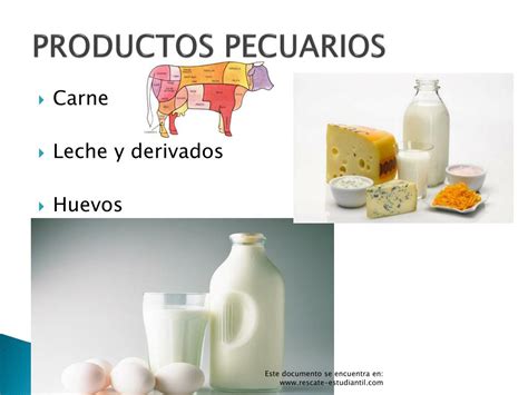 Ppt Desarroll O Pecuario En Guatemala Powerpoint Presentation Free