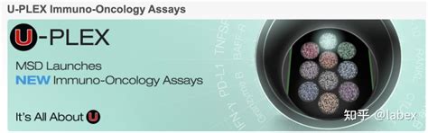 新型标志物：肝细胞癌的血清标志物 知乎