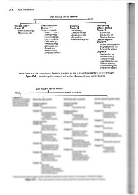 Solution Ch 15 Bacterial Identification Flow Chart Studypool