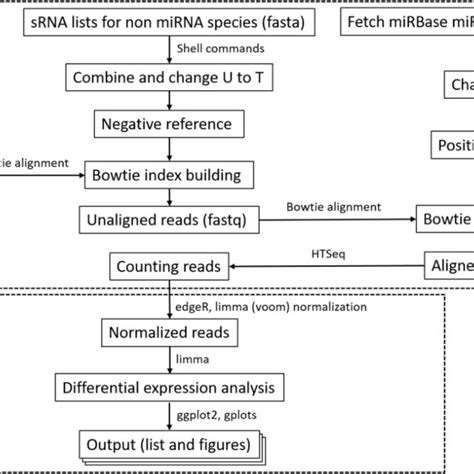 A Flowchart Depicting The General Rna Seq Data Processing And Analysis Download Scientific