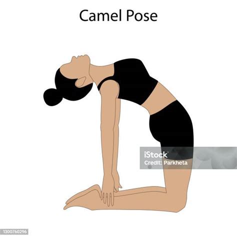 낙타 포즈 요가 운동 건강한 라이프스타일 벡터 일러스트레이션 가냘픈에 대한 스톡 벡터 아트 및 기타 이미지 가냘픈 건강한