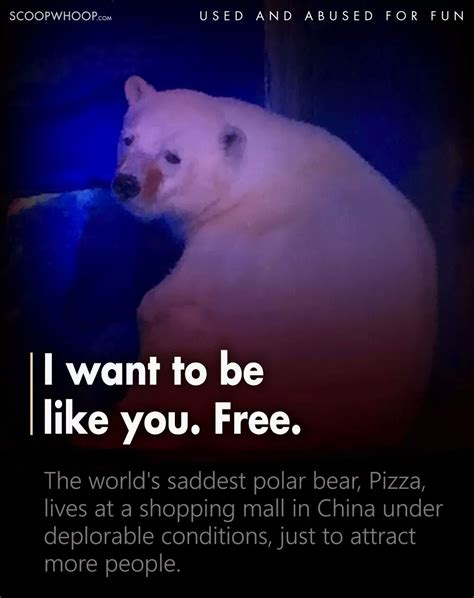 Unity Game Engine Failed To Fetch The Following Dependencies Com