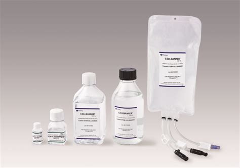 Tailored Cryopreservation Storage Solutions For Cell Therapy