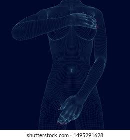 Wireframe Naked Girl Covering Her Body Shutterstock